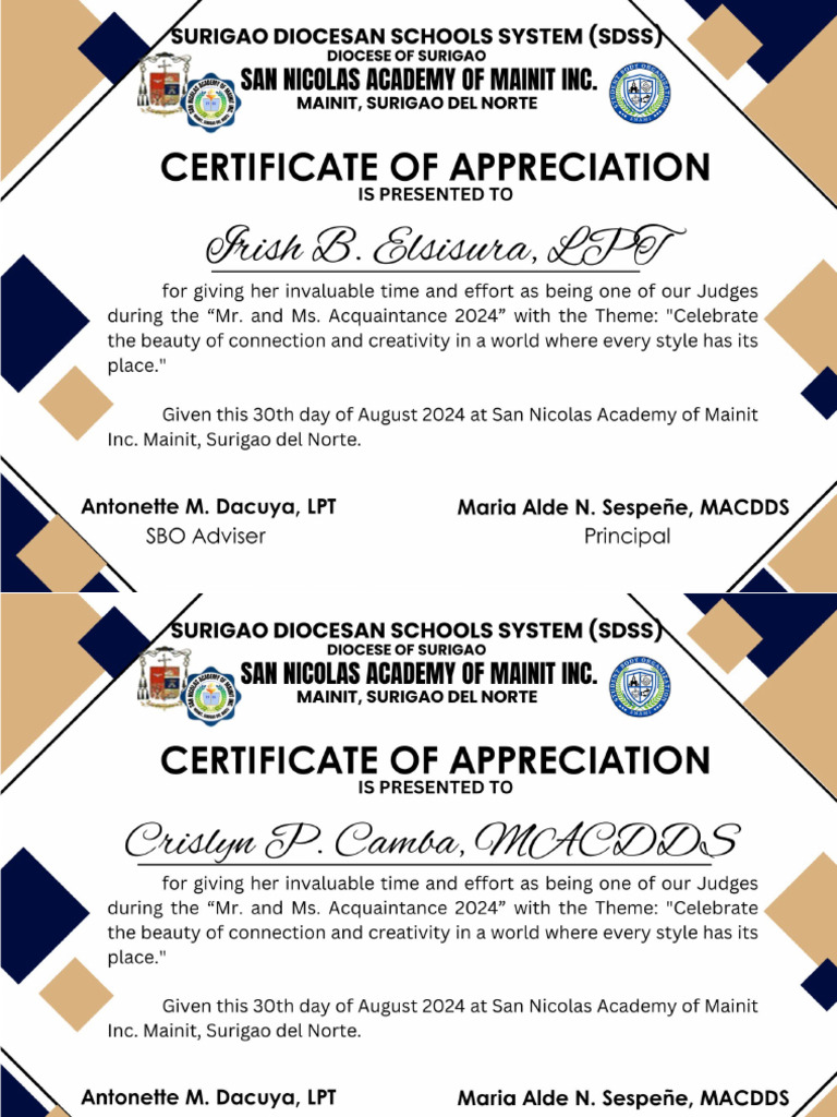 Certificate For Judges | PDF