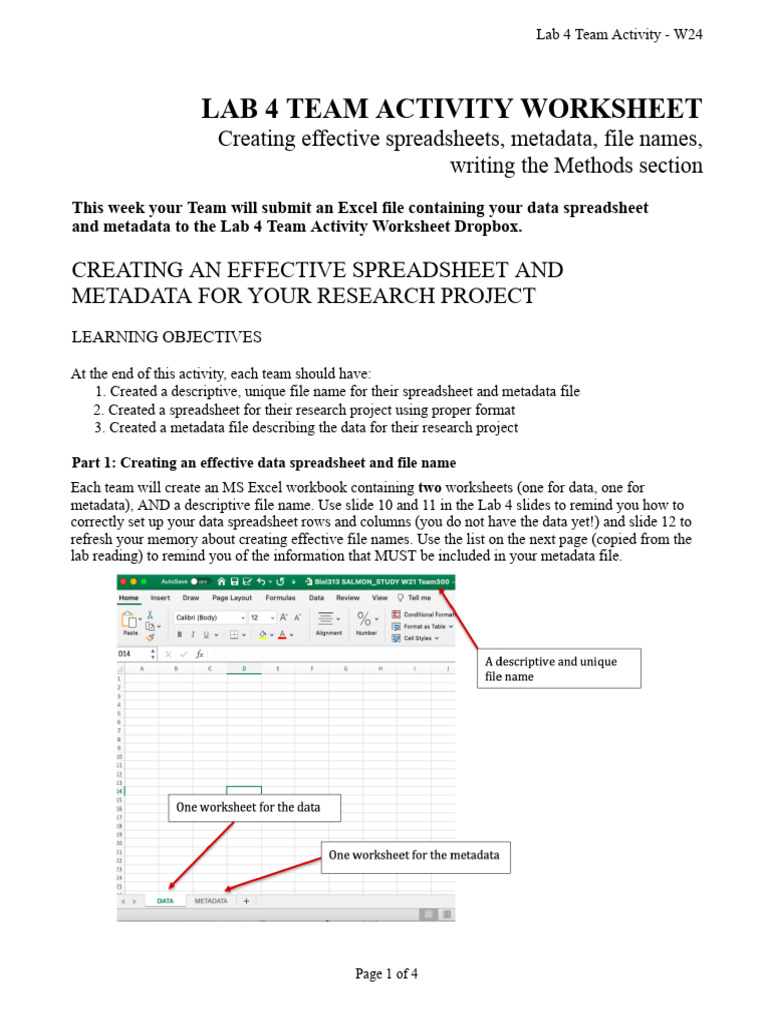 Lab 4 Team Activity Instructions W24 | PDF