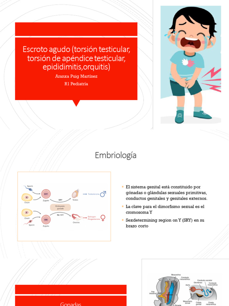 Escroto Agudo | PDF