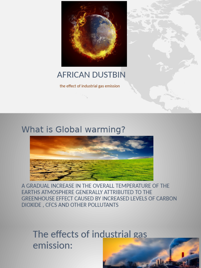 African Dustbin | PDF