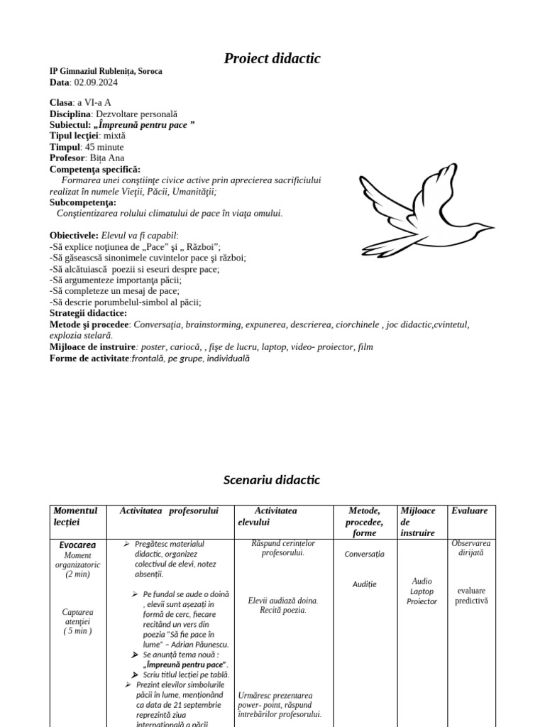 Proiect Didactic Pacea B | PDF
