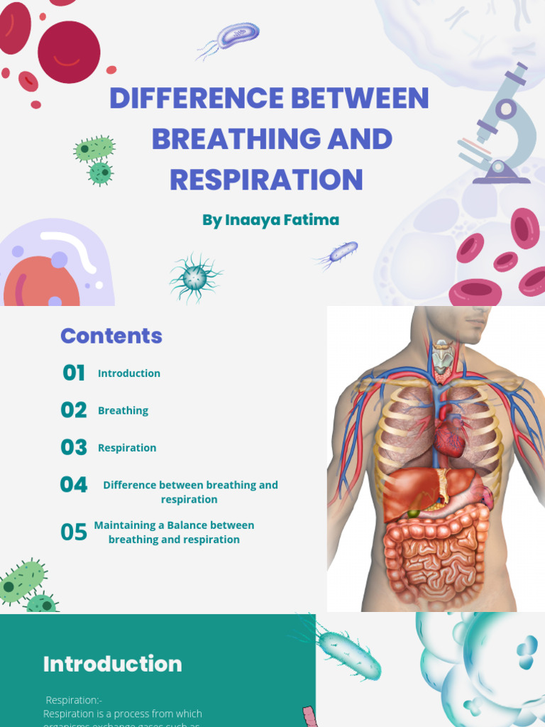 Breathing Vs Respiration Science Project (Activity 1.4.2) | PDF