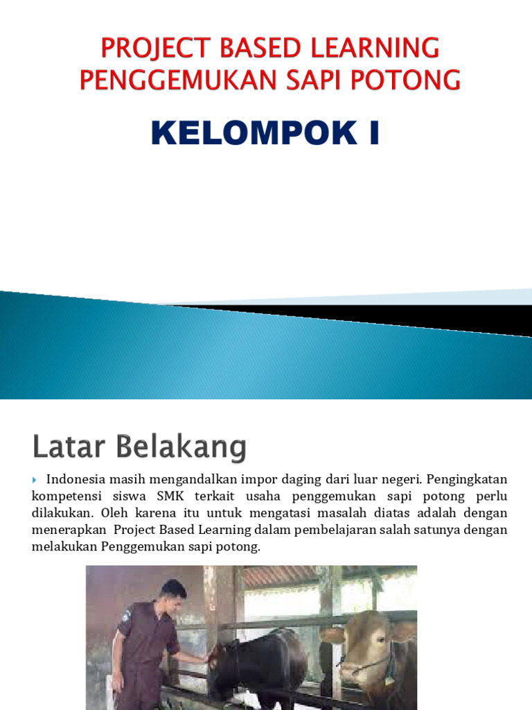 Project Based Learning Penggemukan Sapi Potong | PDF