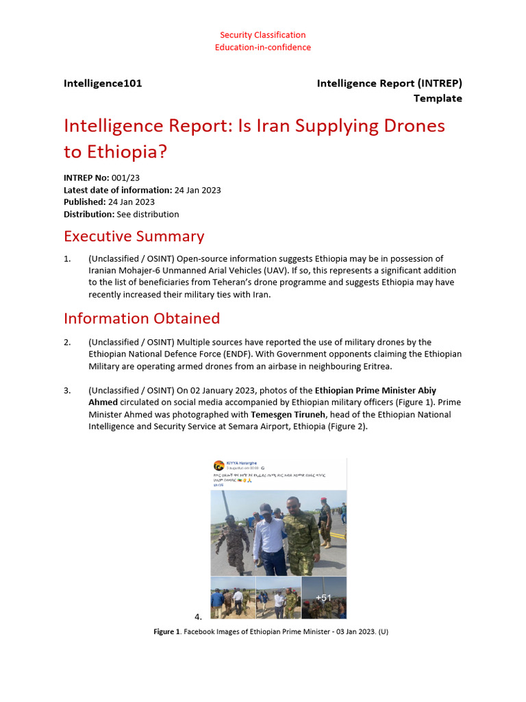 Intelligence101 Intelligence Report Template and Example | PDF