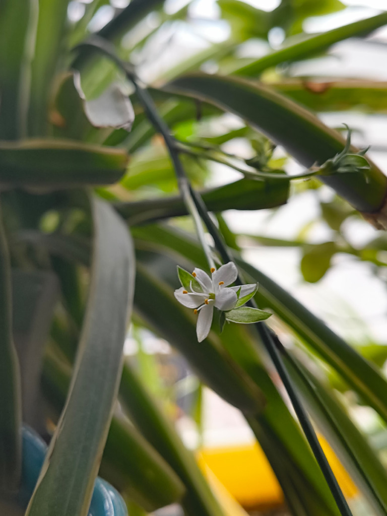 Adobe Scan 03-Sept-2024 (2) | PDF