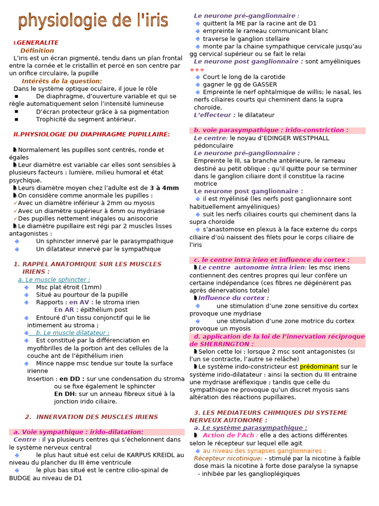 Physiologie Iris | PDF
