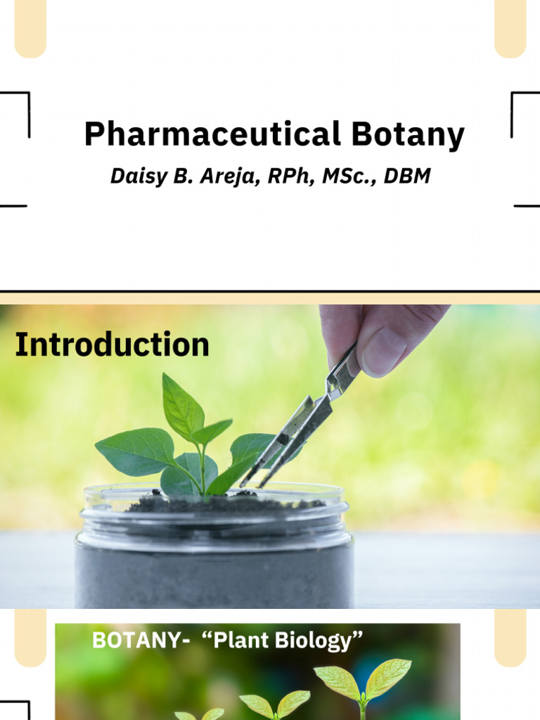 Intro To Botany | PDF
