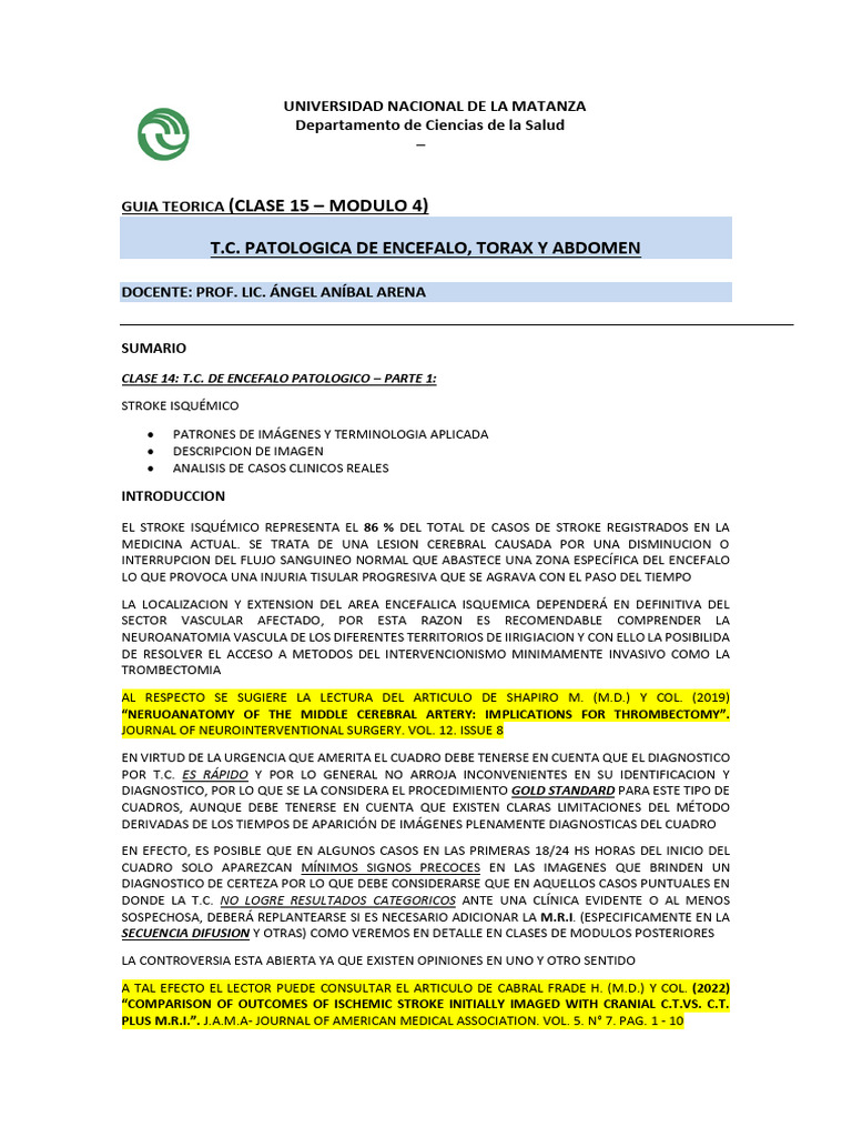 Red Flag Guia Teorica Clase 15 Modulo 4 | PDF