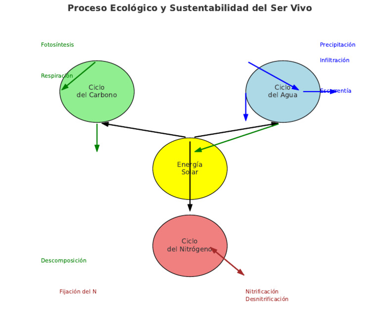 Diagrama Proceso Ecologico | PDF