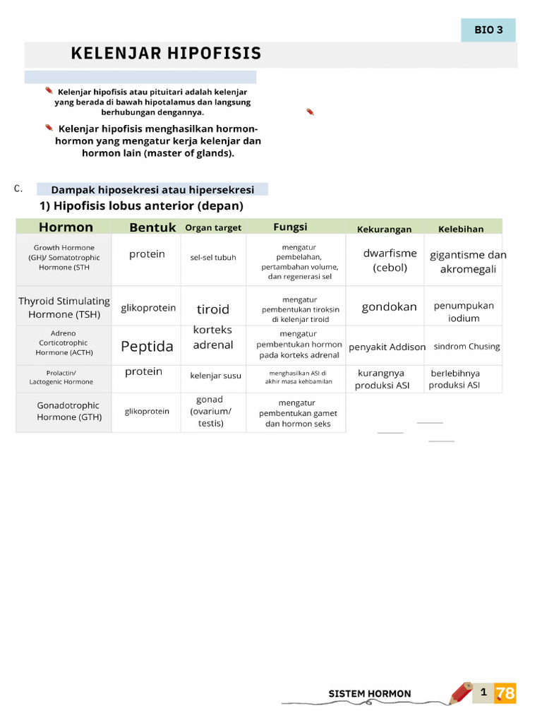 Hormon (1) .PDF - 20240502 - 133357 - 0000 | PDF