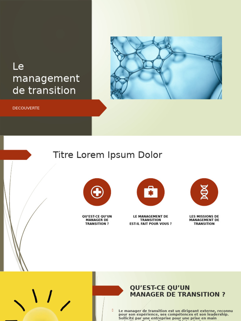 Le Management de Transition | PDF