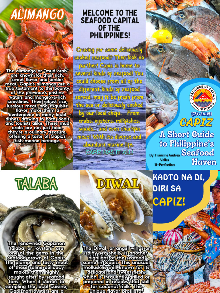 Capiz Brochure FINAL FINAL | PDF