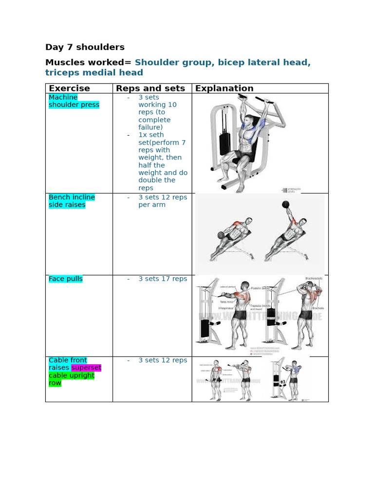 Shoulder Group, Bicep Lateral Head, Triceps Medial Head | PDF