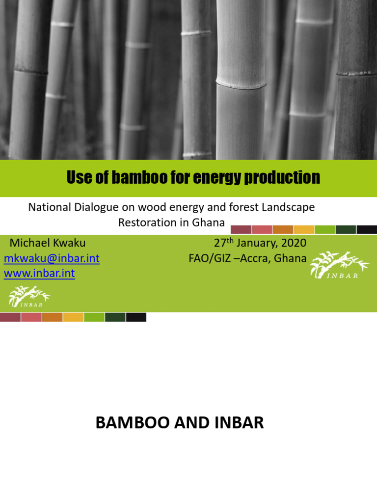 USE OF BAMBOO FOR FUEL ENERGY PRODUCTION - D1.7-M.Kwaku - Bamboo ...