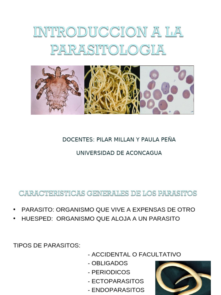 Clase 4 Parasitos 1 Pdf