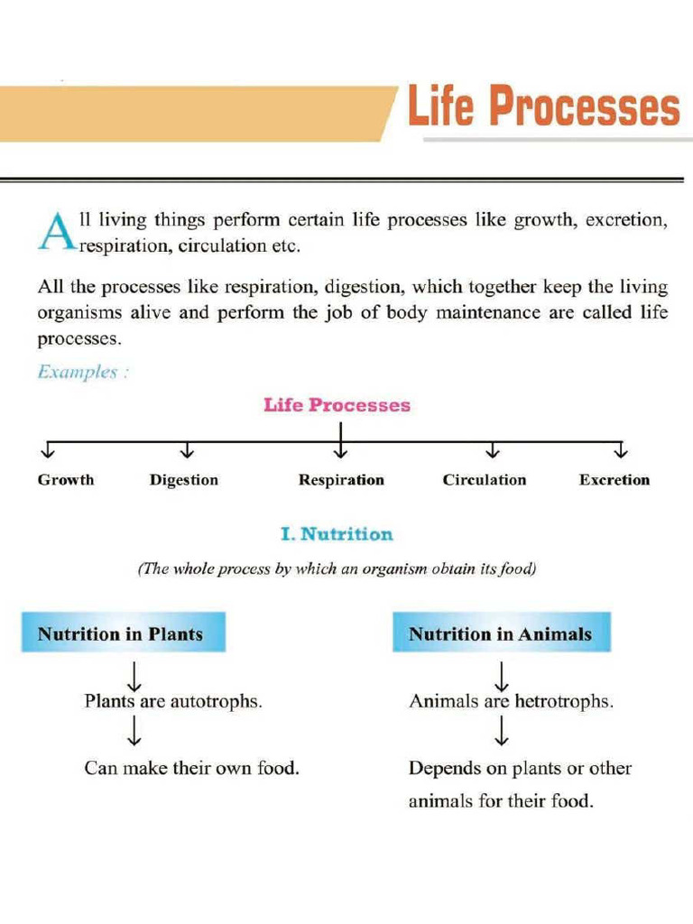 Life Processes | PDF