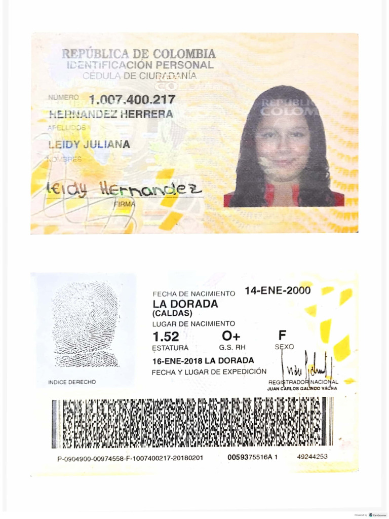 CC - 1007400217 - Leidy Hernandez | PDF