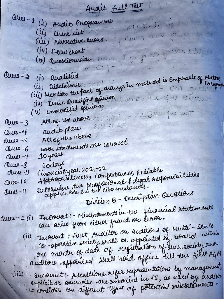 Audit Full Handwritten Notes | PDF