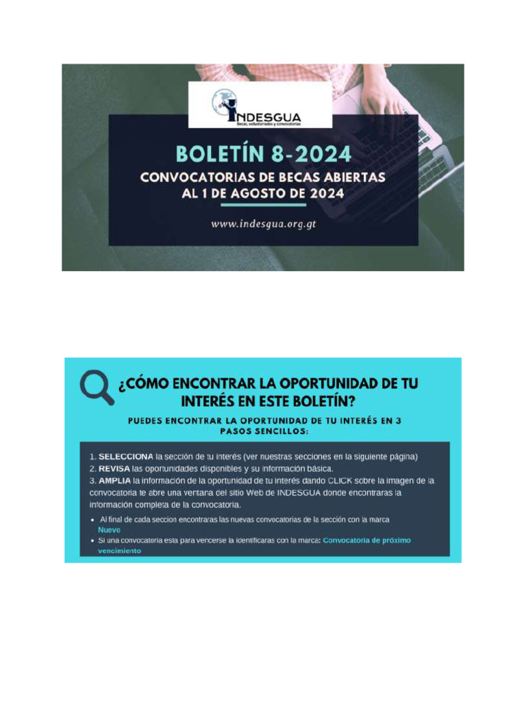Boletin Indesgua 08 2024 | PDF