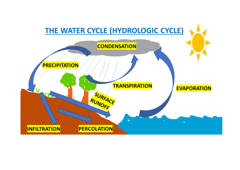 Water Cycle Labelled Diagram | PDF