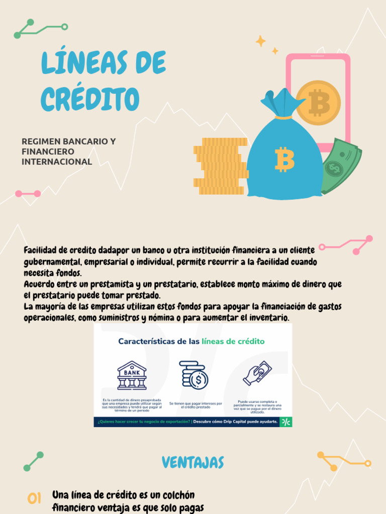 Linea de Credito | PDF