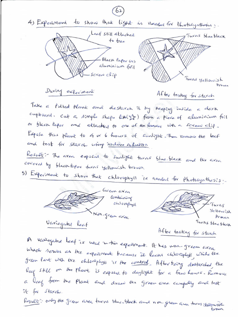 TL - (Urv (R-A :: Iny. A Ar,'a TJ Ftr. - (6it | PDF