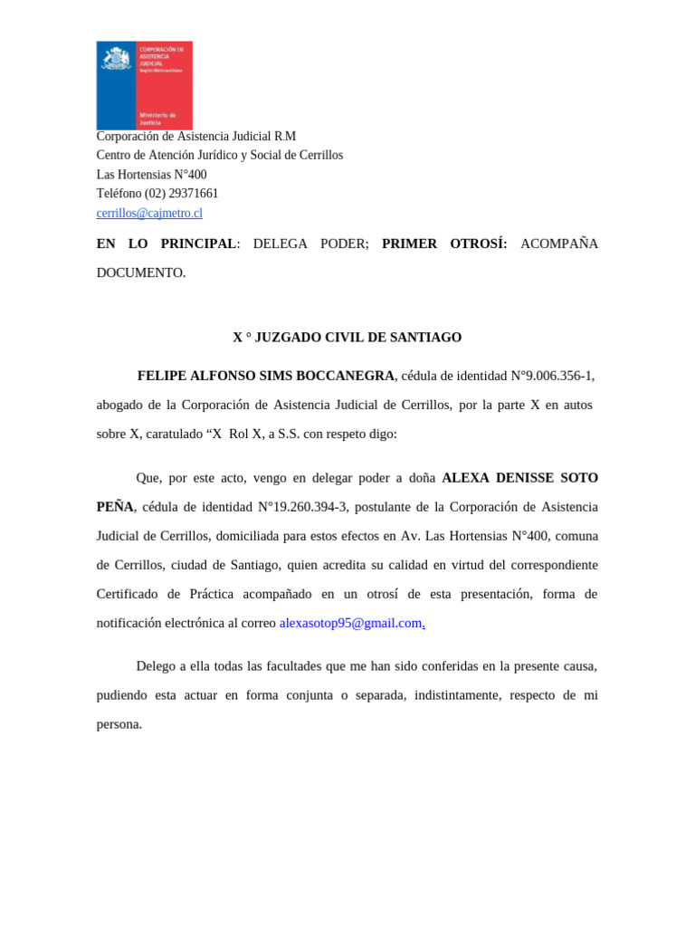 Modelo Delega Poder | PDF