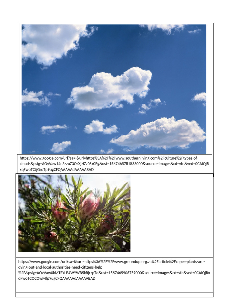 Art Pro | PDF
