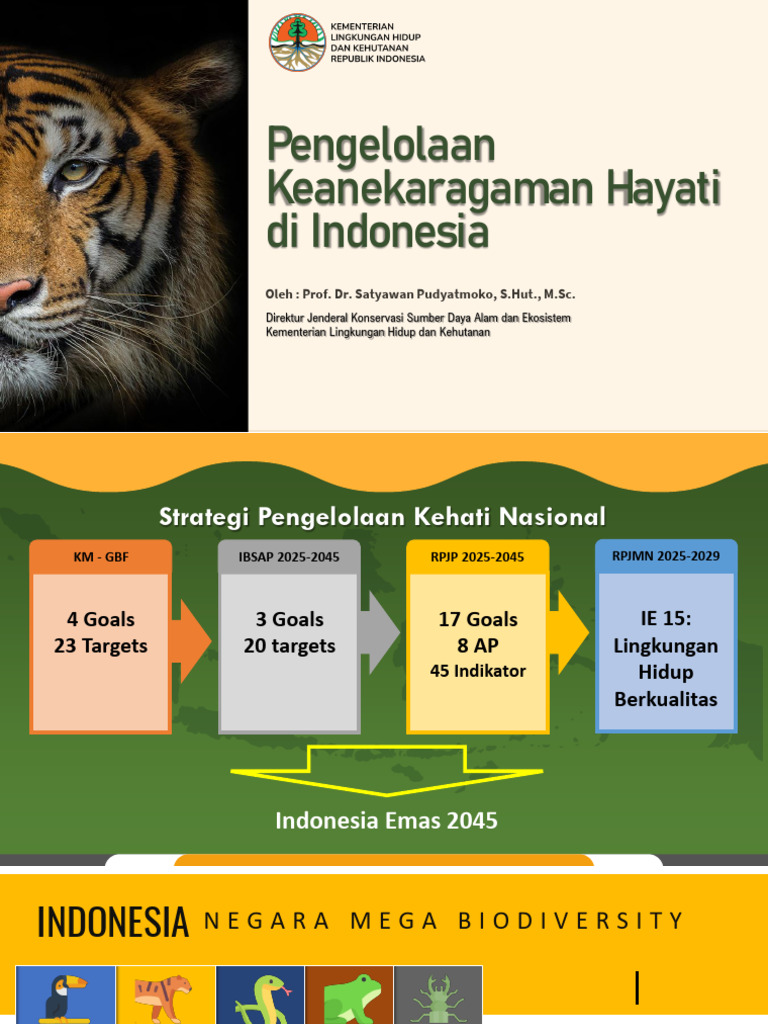 Dirjen - Launching Ibsap 8082024 | PDF