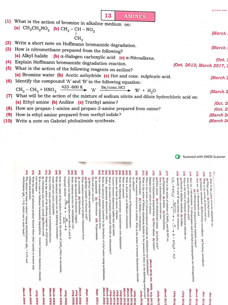Assignment Amines | PDF
