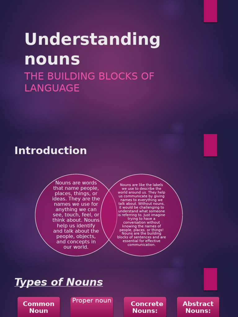 Understanding Nouns | PDF
