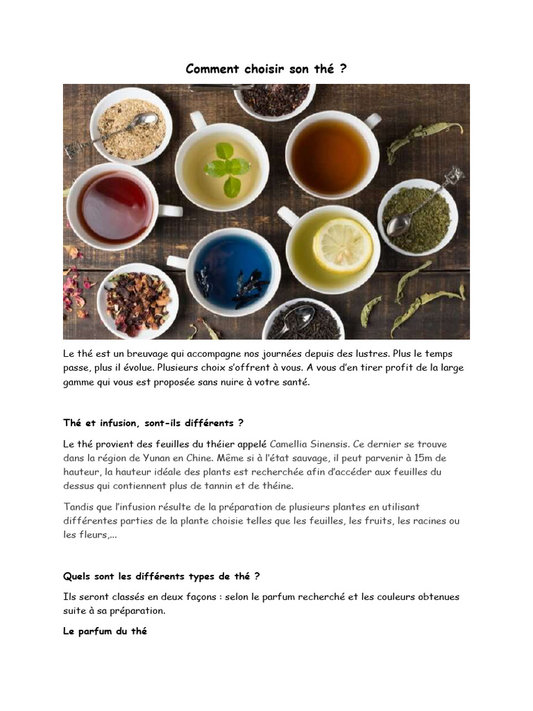 Comment Choisir Son TH N. Val Rie M. 10.09.21 | PDF