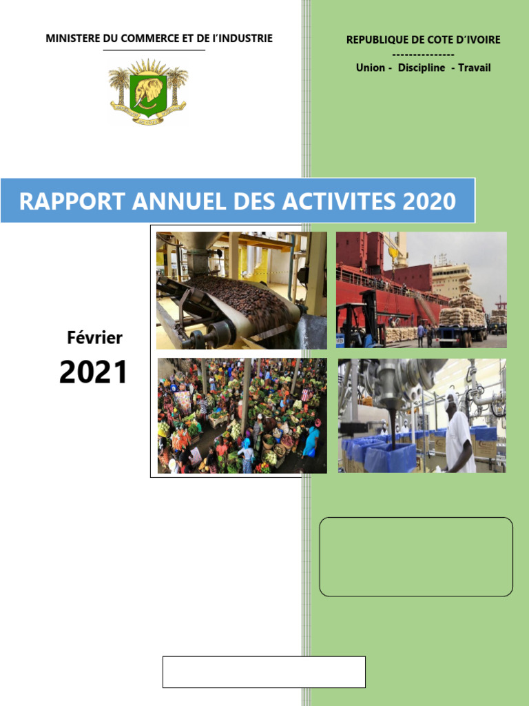 Rapport Annuel DActivites 2020 MCI 12022021 VF 1 | PDF