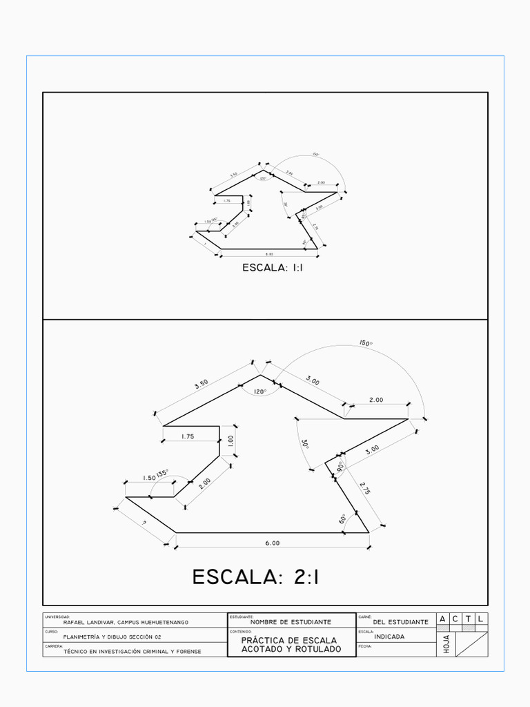 Tarea Forma Irregular | PDF