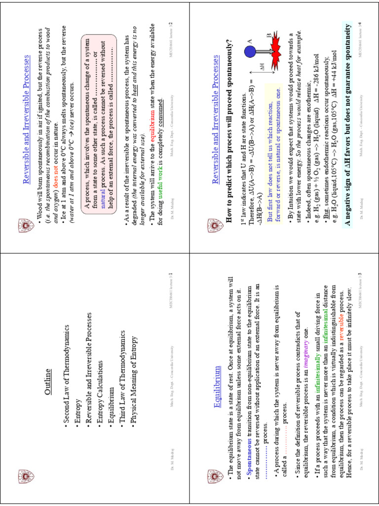 Reversibility and Irreversibility | PDF