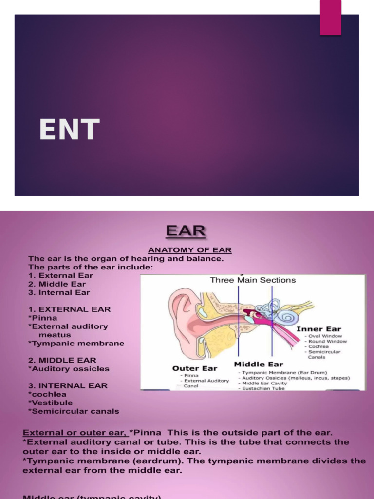 ENT | PDF | Foreign Language Studies