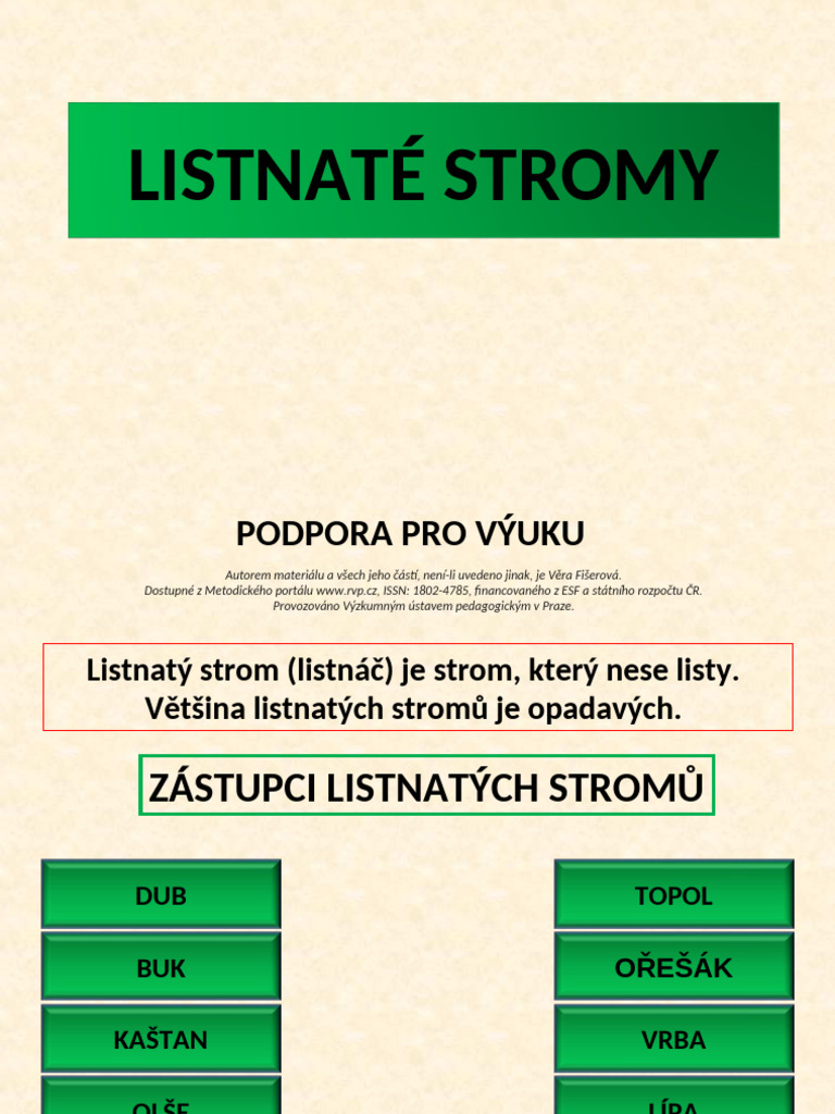 Listnaté Stromy - Prezentace | PDF