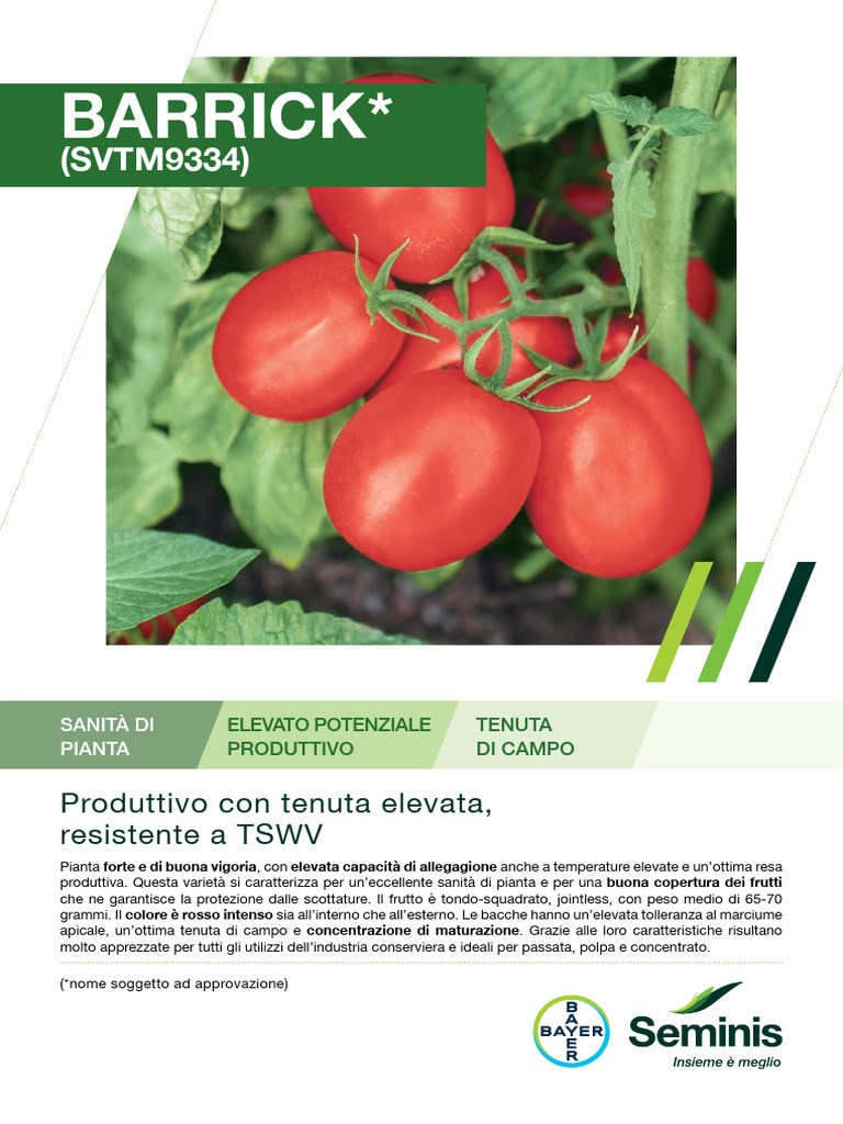 Barrick SEMINIS Low | PDF