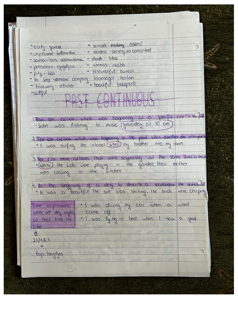 Past Continuous | PDF