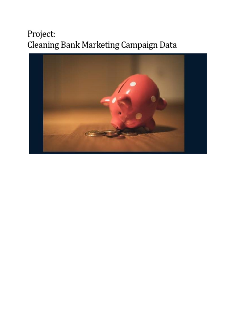 Cleaning_Bank_Marketing_Campaign_Data_Edited | PDF