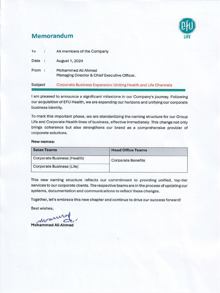 Memo - Corporate Business Expansion | PDF