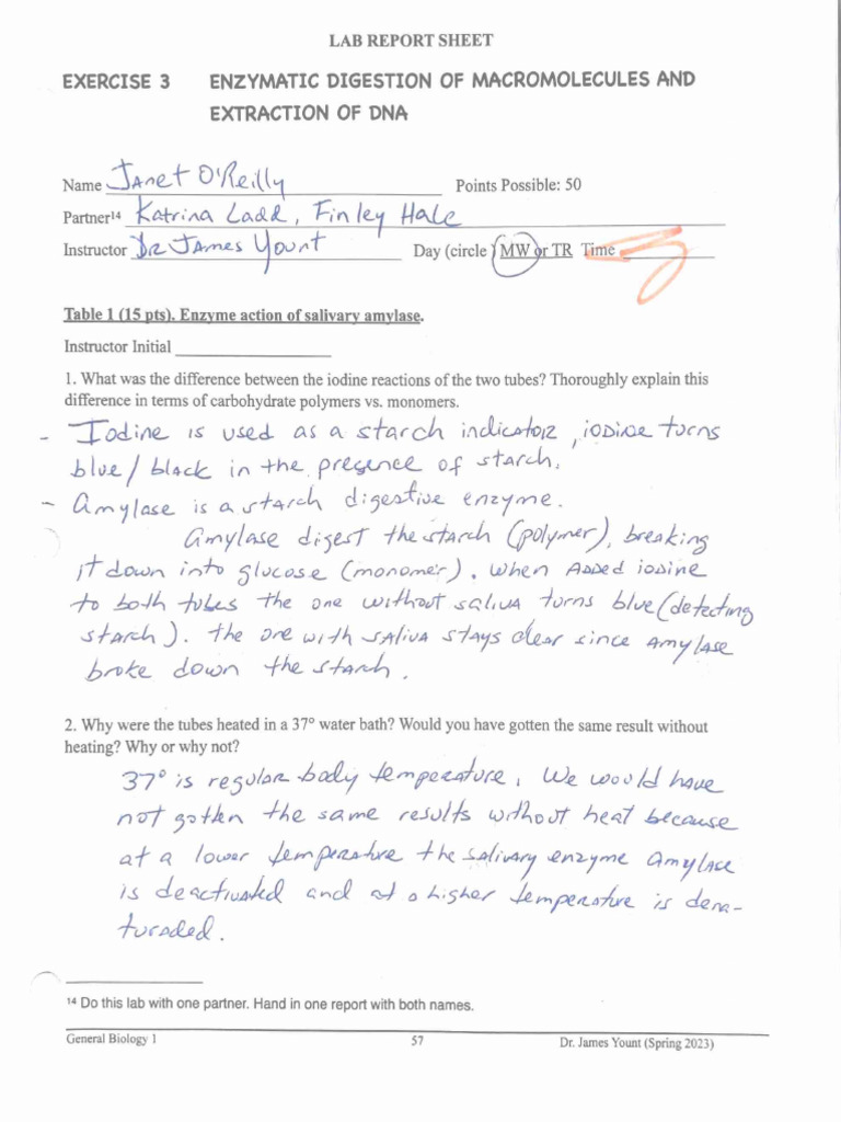 Lab 3 Enzymatic Digestion of Macromolecules - DNA | PDF