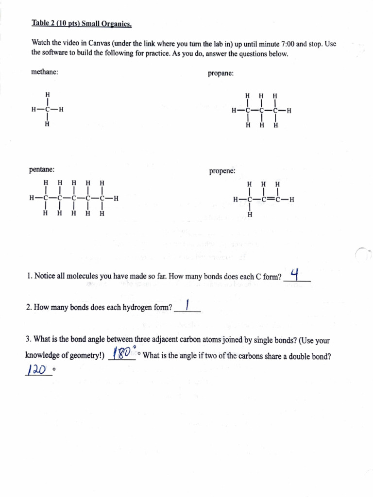 Lab 2 The Structure of Macromolecules | PDF