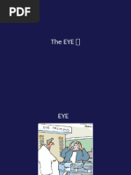 Grade 12 Life Science The Eye | PDF | Eye | Myopia