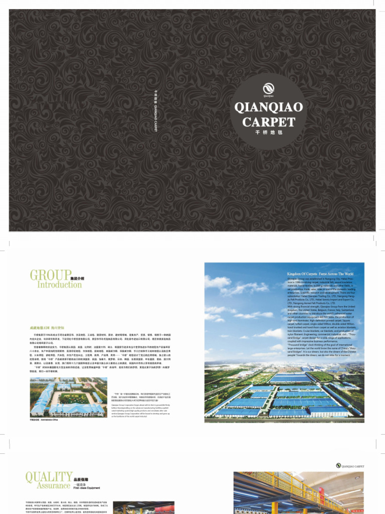 Qian Qiao Company Profile | PDF
