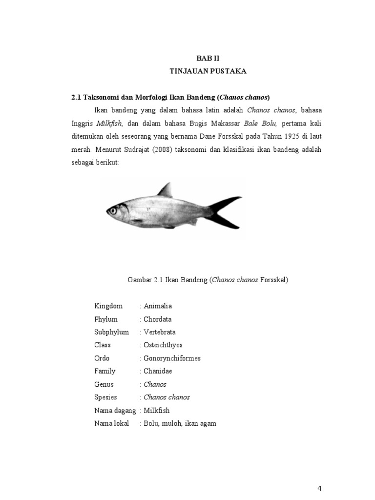 Jurnal Klasifikasi Dan Morfologi Ikan Bandeng Pdf