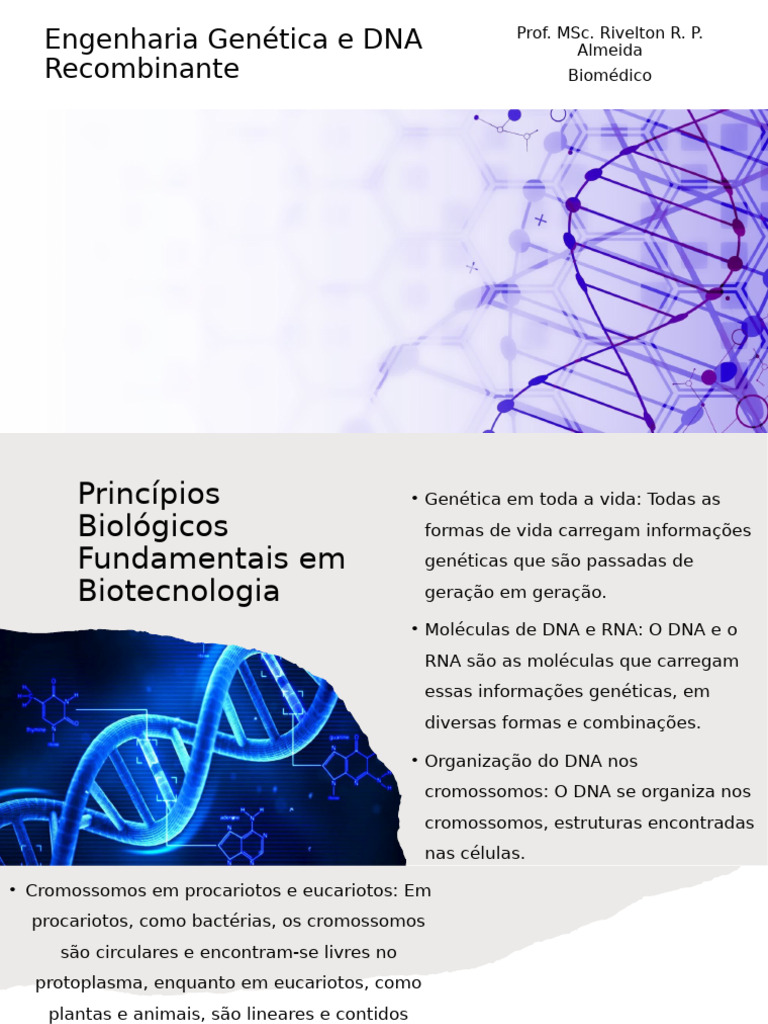 Aula 2 - Engenharia Gen Tica e DNA Recombinante | PDF