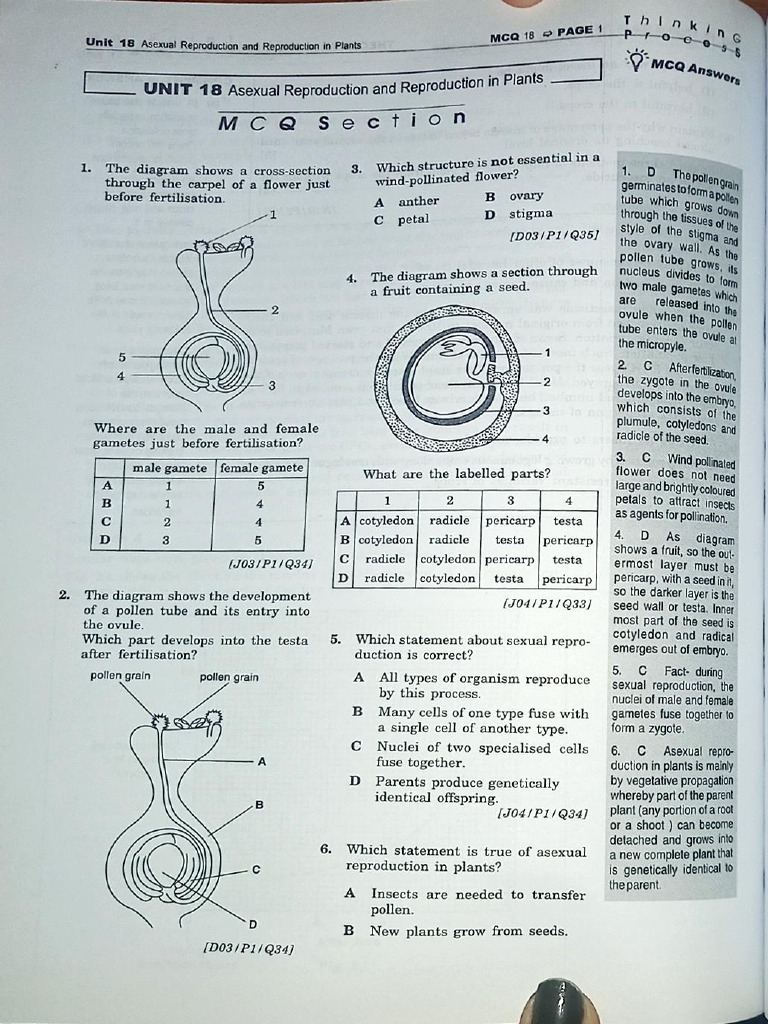 Reproduction in Plants Quiz | PDF