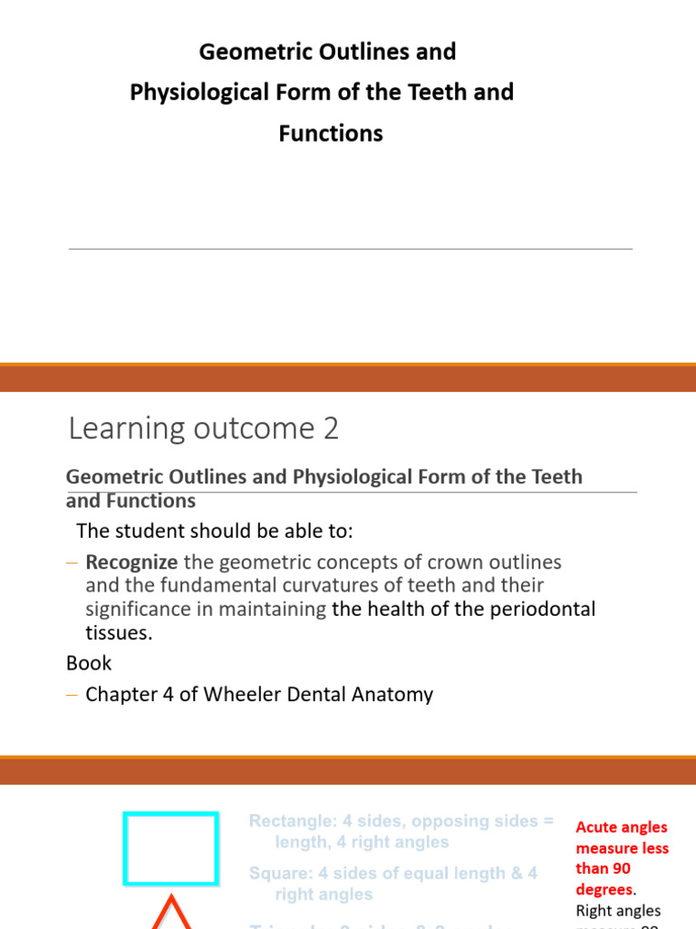 Lecture 2 Geometric Shapes, Physiology , Occlusion and Function | PDF