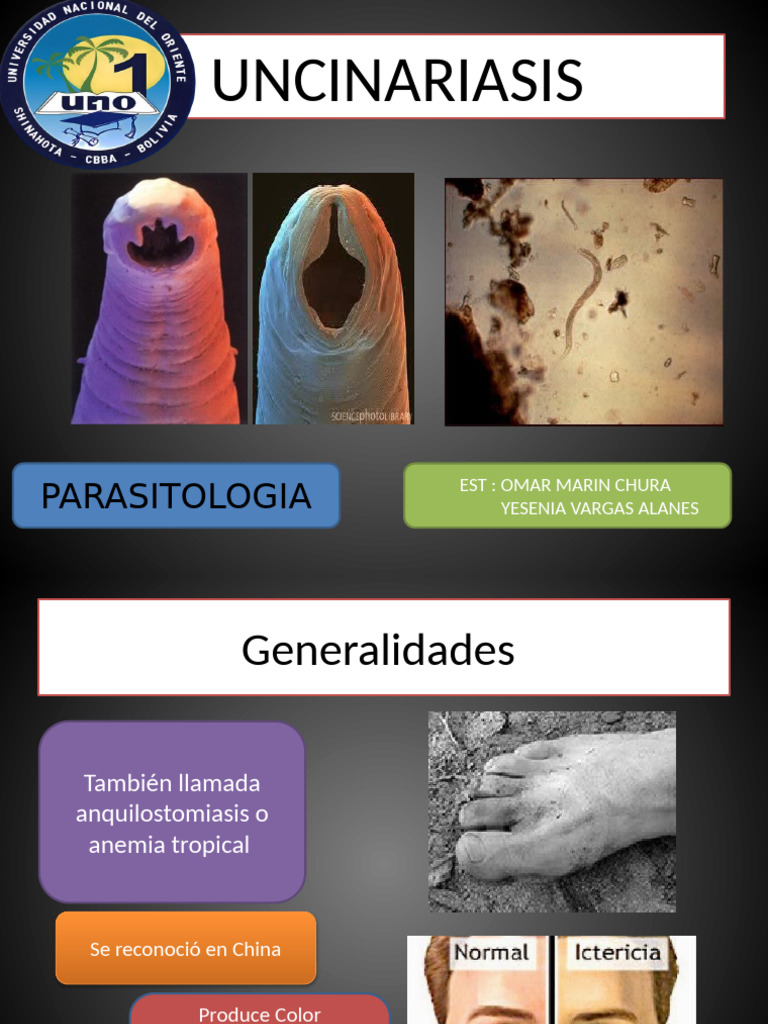 Uncinariasis Uno | PDF